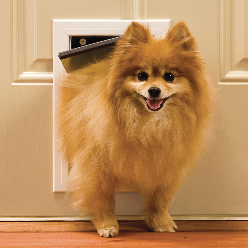 PetSafe Freedom Pet Door | Bass Pro Shops